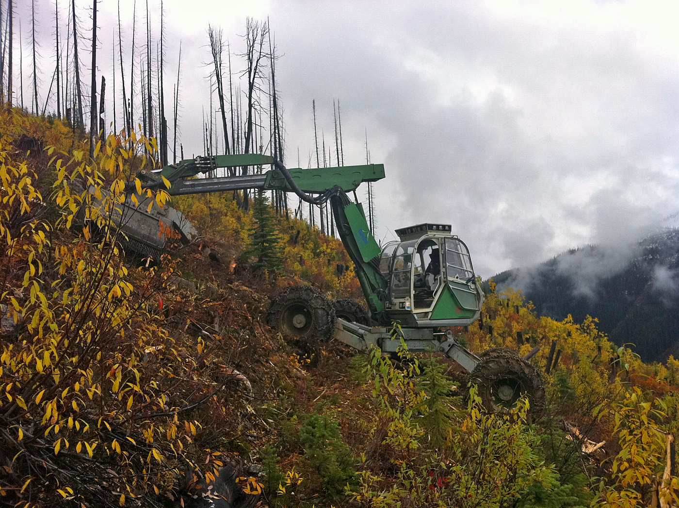 Spider Excavators | For All Your Excavators Need. Using a Menzi Muck ...